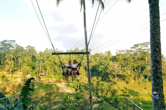 Best of Bali Jungle Swing with Ubud Sightseeing Tour - Afternoon Cultural and Artistic Experiences