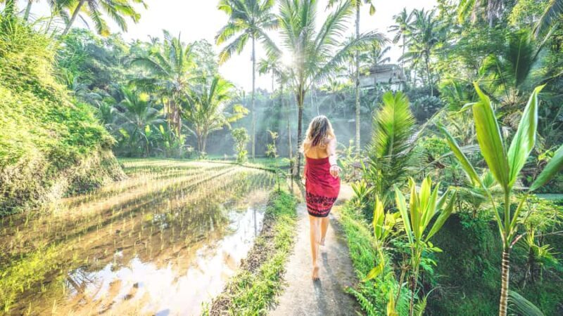 Best of Bali: Private Customizable Day Tour - The Sum Up