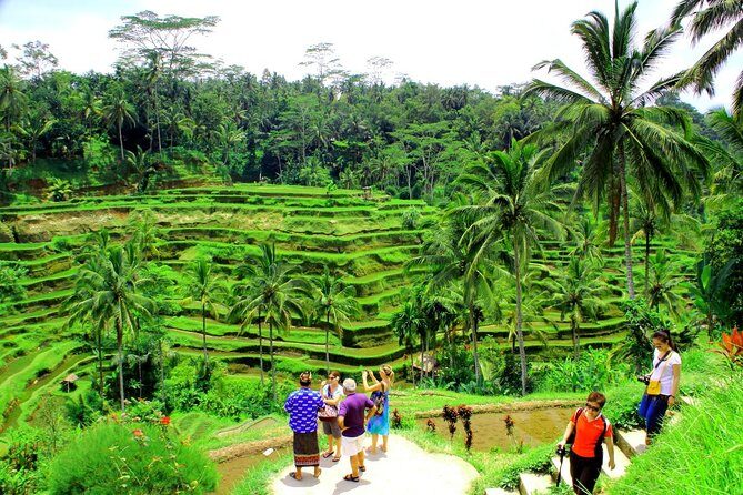 Best of Bali Tour - All Inclusive - A Deep Dive into the Itinerary