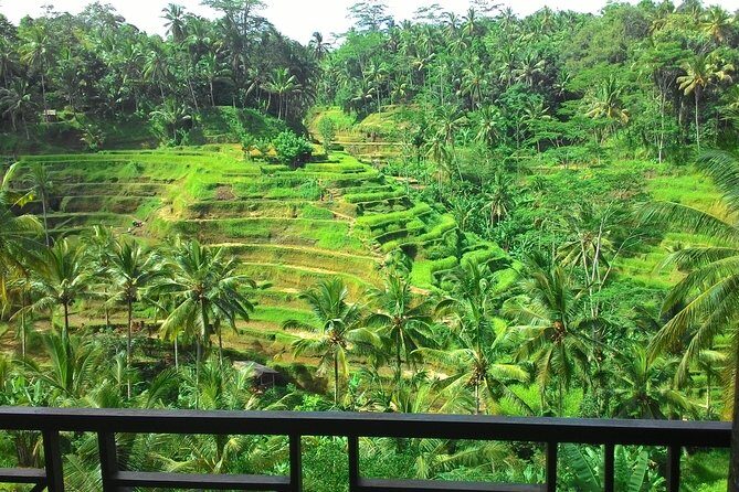 Best of Bali : Ubud, Rice terrace, Tanah lot temple with Lunch - An In-Depth Look at the Itinerary