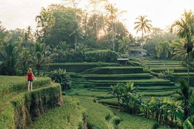 Best of Bali Ubud Tour with All-Inclusive - Exploring Ubud’s Natural and Cultural Gems