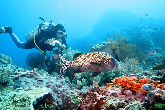 Best of Bali Water Sport Jumbo Packages - Frequently Asked Questions (FAQs)