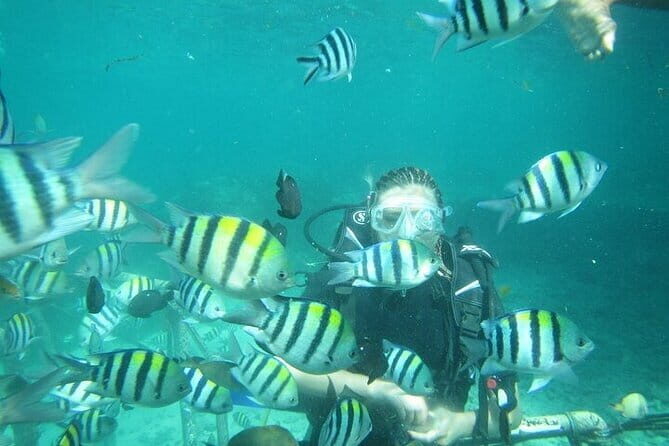 Best of Bali Water Sport Package Include Return Hotel Transport - FAQs