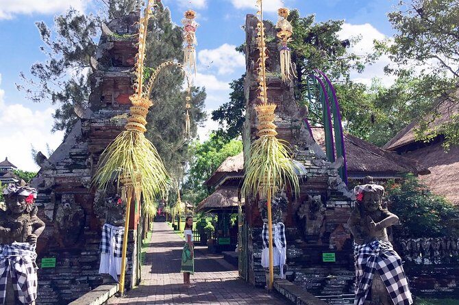 Best of Bali Water Temple and UNISCO Rice Terrace Trek - Who Will Love This Tour?