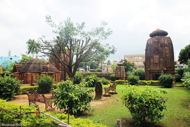 Best of Bhubaneswar (Guided Halfday Sightseeing Tour by Car) - The Practical Side: What It Means for You