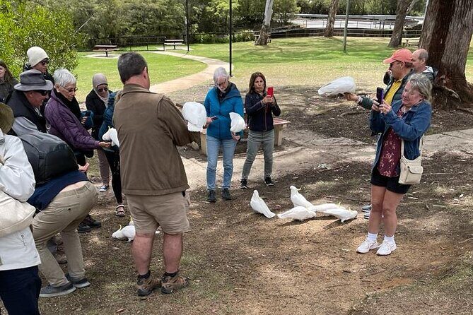 Best of Blue Mountains: Private Tour - Final Thoughts: Who Will Love This Tour
