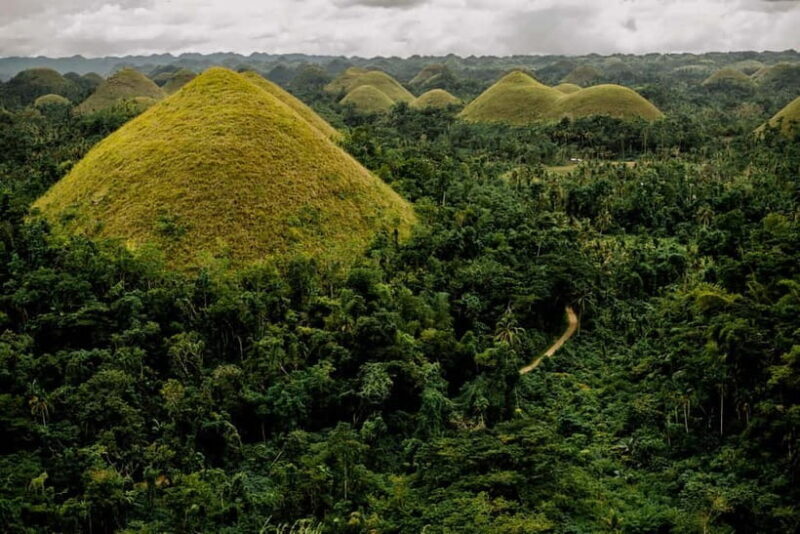 BEST OF BOHOL: Chocolate Hills & Tarsier w Lunch at Loboc - Final Thoughts: Who Should Consider This Tour?