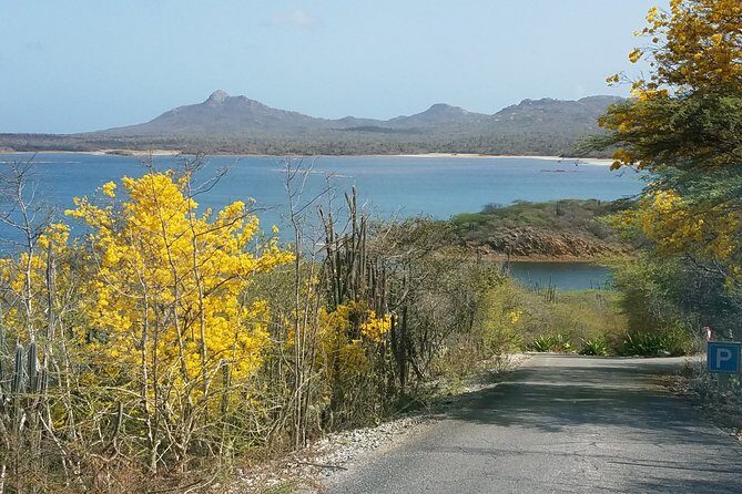 Best of Bonaire - Full island tour with a local. - Detailed Review of the Bonaire Full Island Tour