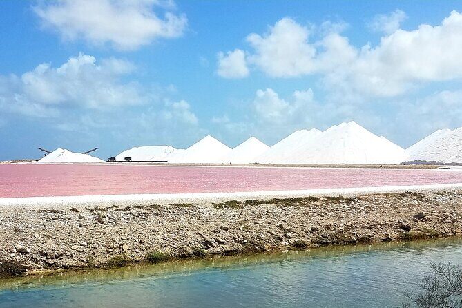 Best of Bonaire - Full island tour with a local. - Pricing and Value