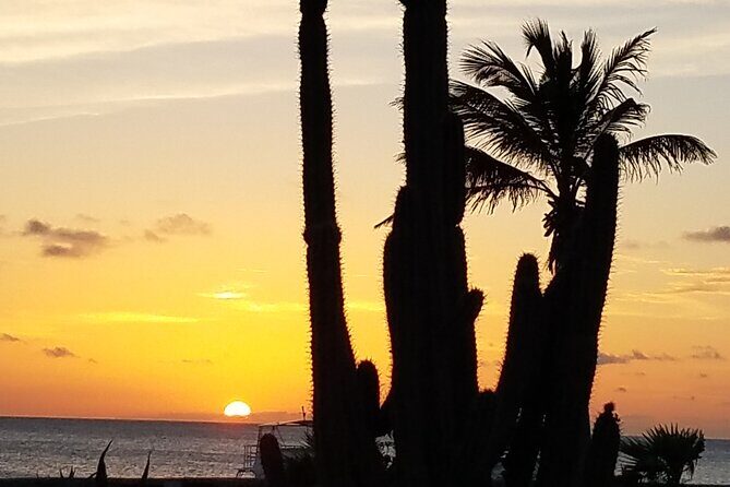 Best of Bonaire - Full island tour with a local. - Who Should Consider This Tour?