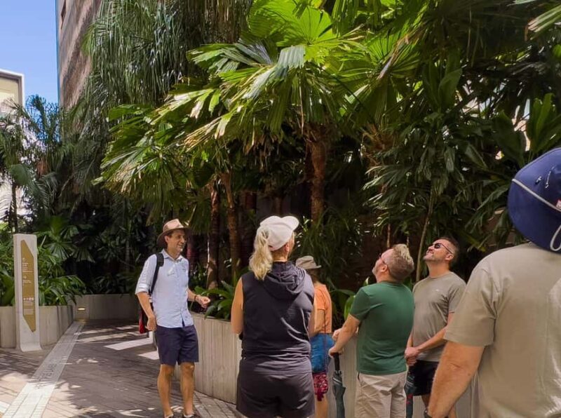 Best of Brisbane Walking Tour | Small Group & snack - Final Thoughts