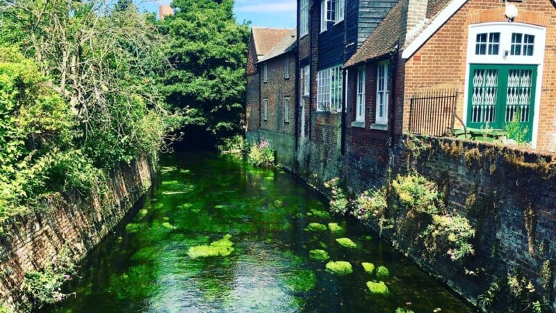 Best of Canterbury: Private Walking Tour with a Local - Who Will Love This Tour?