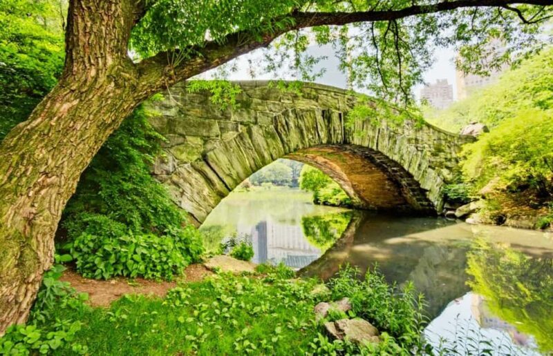 Best of Central Park: Top-Rated Pedicab Tour NYC - What To Expect During the Tour