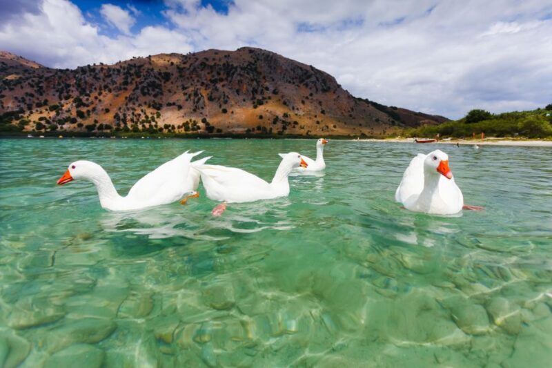 Best of Chania Sights & Lake Kournas Full Day Private Tour - The Sum Up