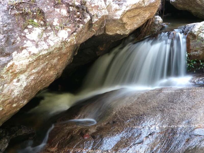 Best of Chiang Mai :Temple,Nature and culture - Who Should Consider This Tour?