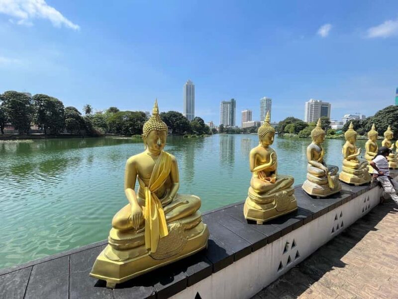 Best of Colombo: Private Guided City Tour - Religious Sites: Buddhism and Hinduism