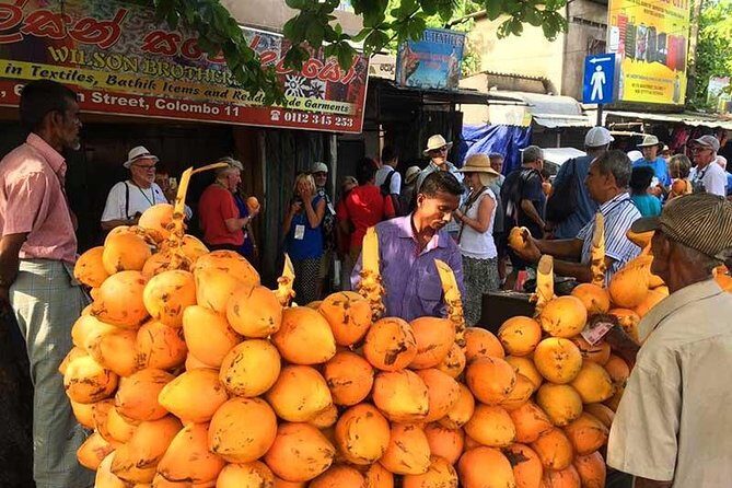 Best of Colombo - Private Guided City Tour - Who Should Consider This Tour?