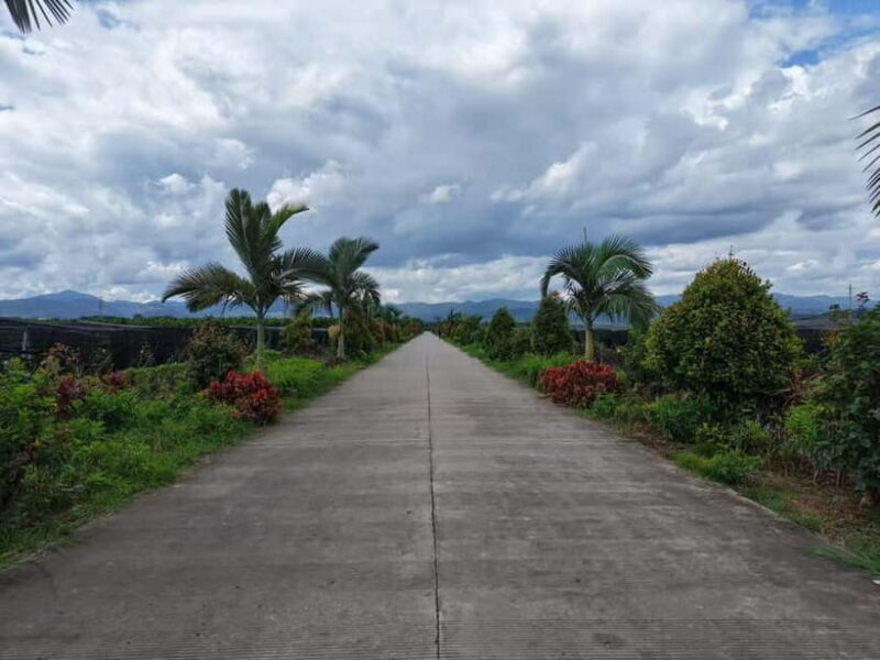 Best of Dai Villages | 20km E-Bike Tour - FAQs