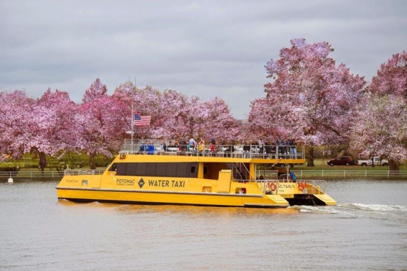 Best of DC: Hop-on Hop-off Bus Tour & Night Tour (Save 40%) - Key Points