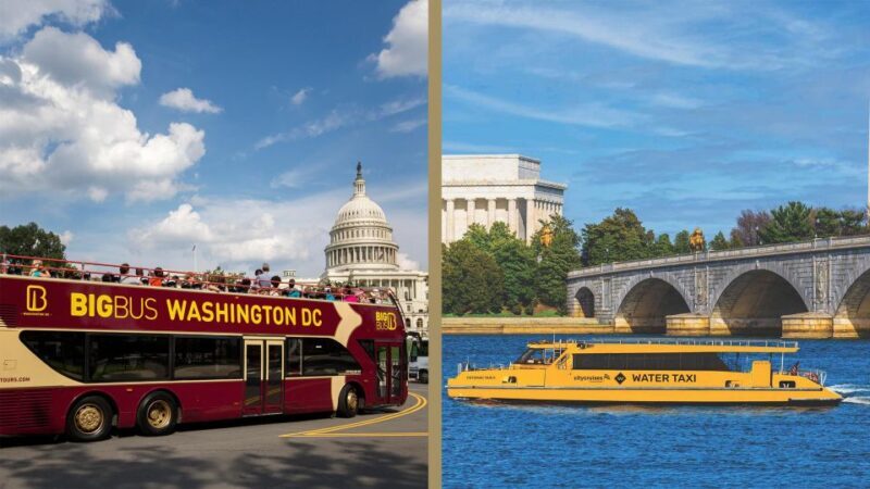 Best of DC: Hop-on Hop-off Bus Tour & Night Tour (Save 40%) - An In-Depth Look at the Experience