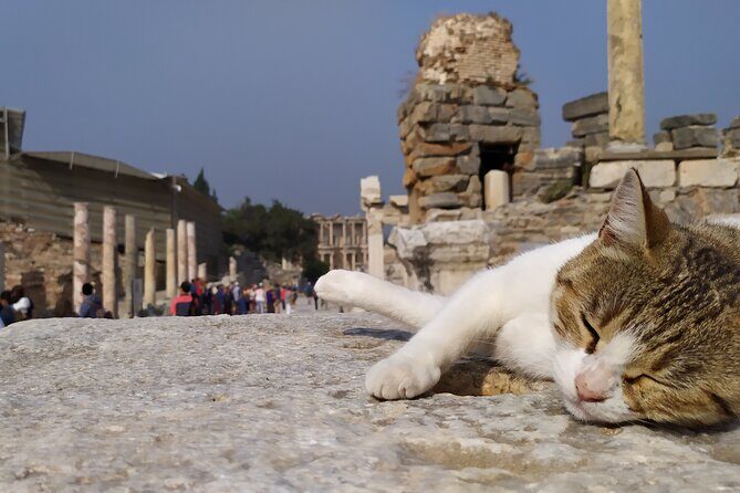 Best of Ephesus Tour From Kusadasi: Temple of Artemis, St John Basilica, Isa Bey Mosque - Who Will Love This Tour?