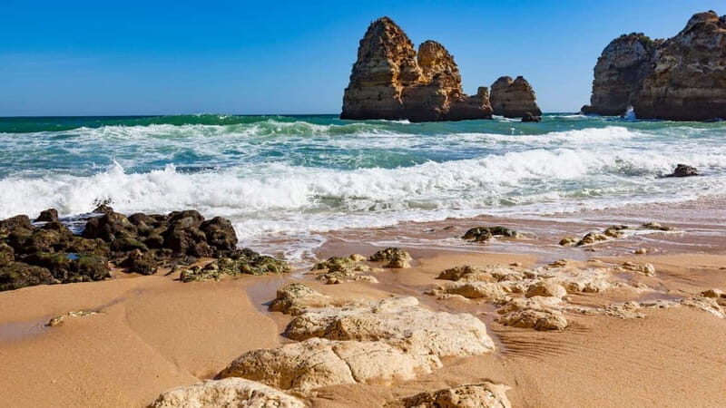 Best of Faro: Private Walking Tour with a Local - An In-Depth Look at the Faro Private Walking Tour