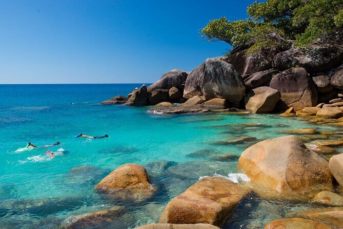 Best of Fitzroy Island Day Tour - Optional Activities