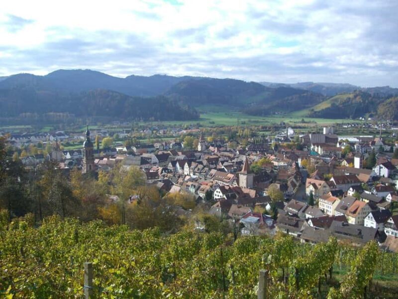 Best of Gengenbach Walk Tour with a Professional Guide - Introduction