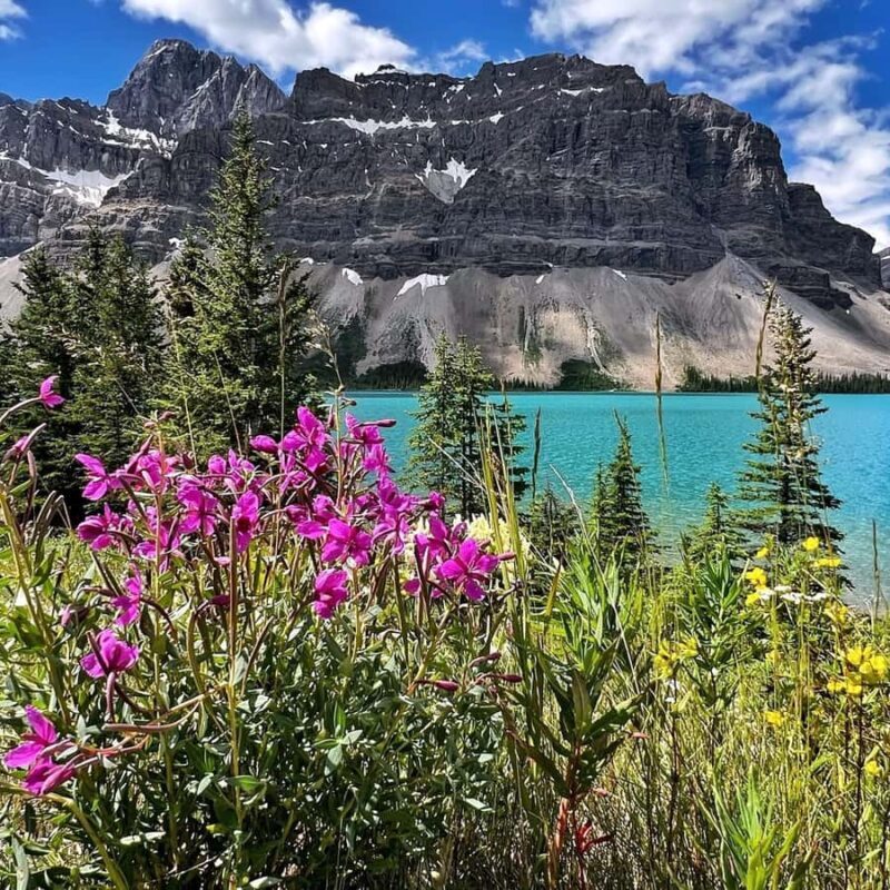Best of Glaciers from Calgary/Canmore/Banff: Tour - An In-Depth Look at the Rockies’ Highlights