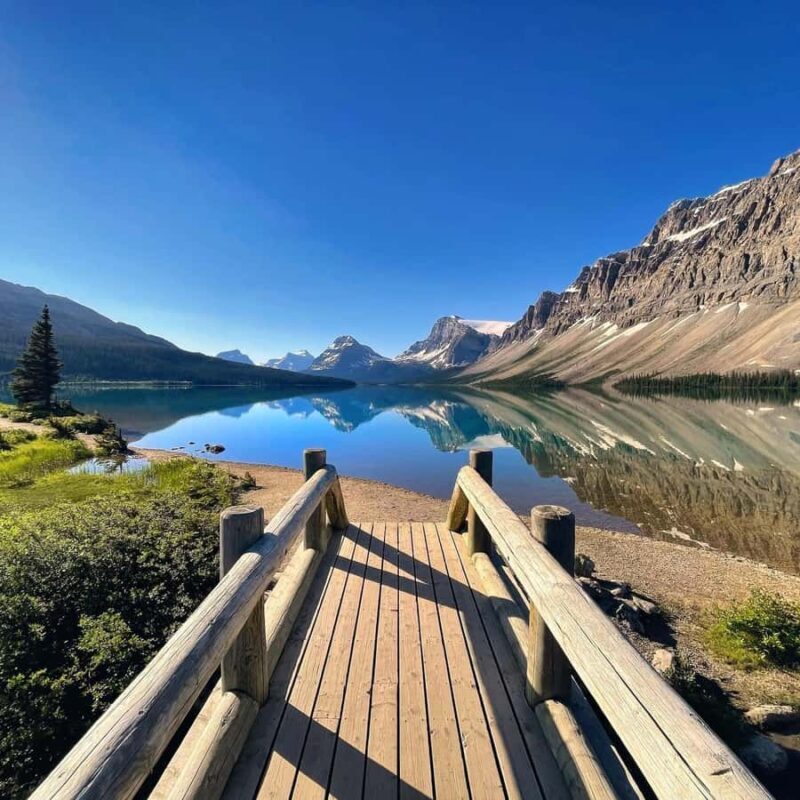 Best of Glaciers from Calgary/Canmore/Banff: Tour - Who Will Love This Tour?