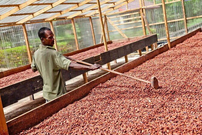 Best Of Grenada Historical Spice Tour and Annandale Waterfall - FAQ: Your Common Questions Answered