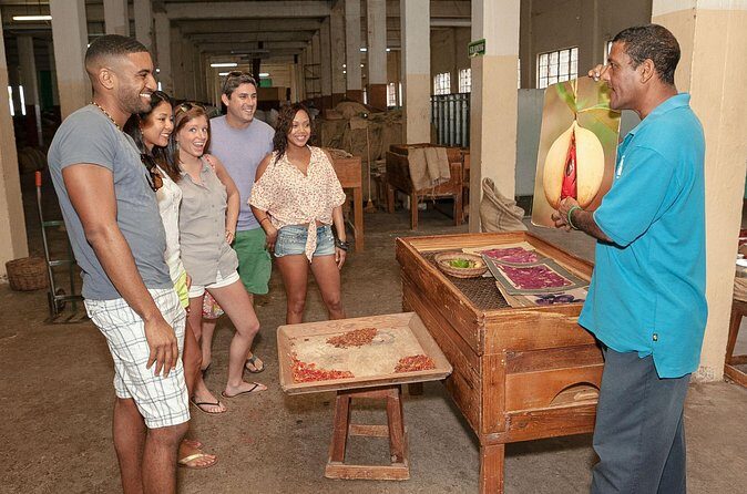 Best Of Grenada Historical Spice Tour and Annandale Waterfall - Final Thoughts