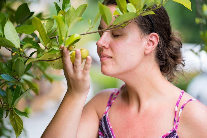 Best of Grenada: Waterfalls, Chocolate, Nutmeg Museum, History - Practical Details and Logistics