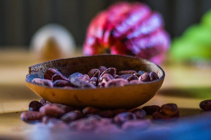 Best of Grenada: Waterfalls, Chocolate, Nutmeg Museum, History - Overall Value and Who Will Love This Tour