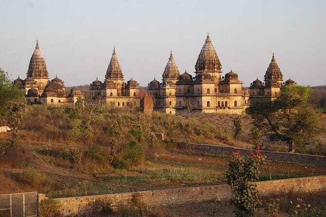 Best of Indian Cultural private tour - Who Will Love This Tour?