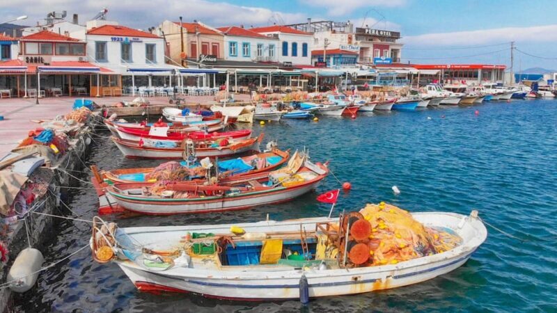 Best of Izmir: Private Walking Tour with a Local - Key Points