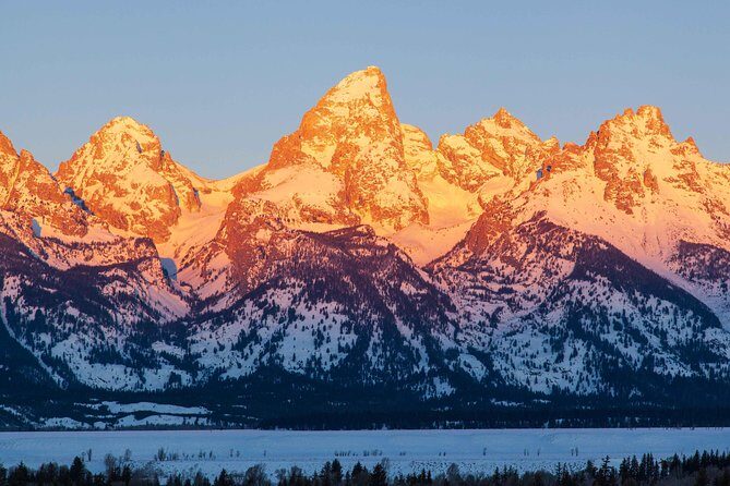 Best of Jackson Hole Wildlife Safari Tour - What’s Included and Why It Matters