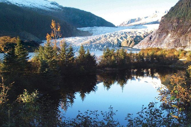 Best of Juneau: Mendenhall Glacier, Whale Watching and Salmon Bake - The Salmon Bake: A Feast in the Forest