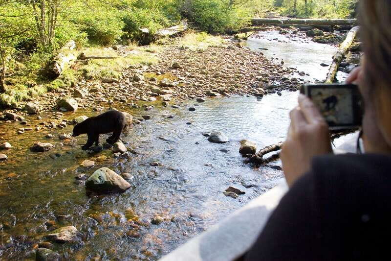 Best of Kananaskis PRIVATE SAFARI Tour + Custom Nature Walk - Key Points