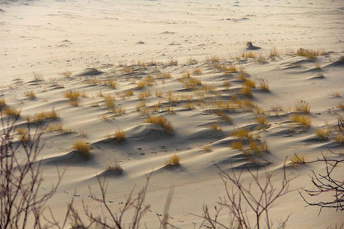 Best of Klaipeda & Curonian Spit Join-in Shore Excursion - A Detailed Look at the Tour Experience