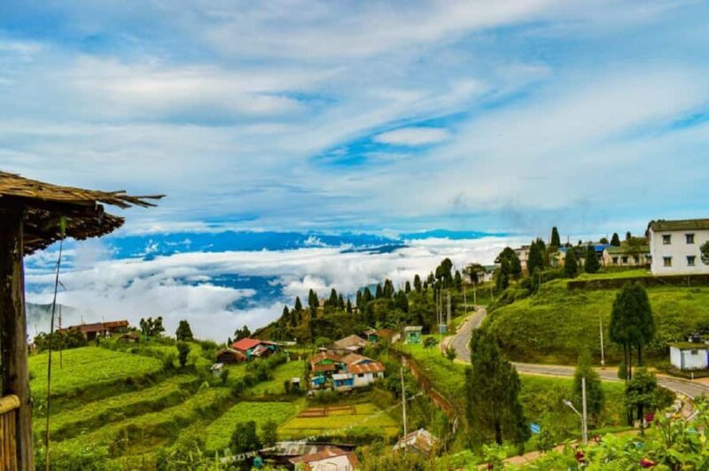 Best of Kurseong: Guided Half-Day Tour with Hotel Pickup - Who Will Love This Tour?