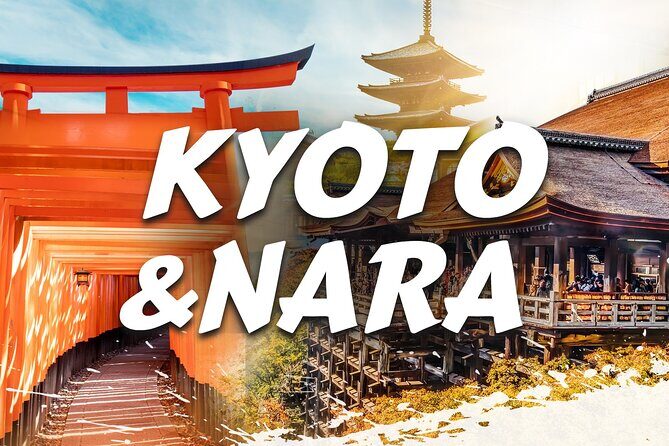 Best of Kyoto and Nara Highlights Day Tour from Osaka (7~9 spots) - Practical Considerations