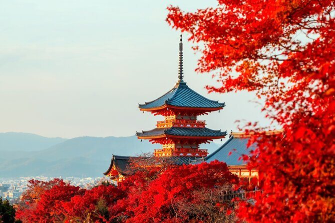 Best of Kyoto and Nara Highlights Day Tour from Osaka (7~9 spots) - Overall Value and Who Will Appreciate It