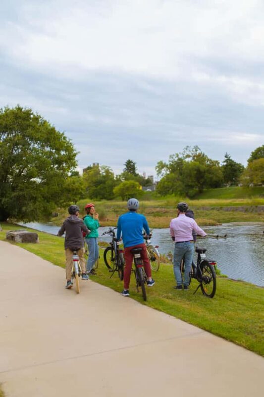 Best of Kyoto: the Bamboo Forest & Golden Temple E-Bike Tour - The Value of the Experience
