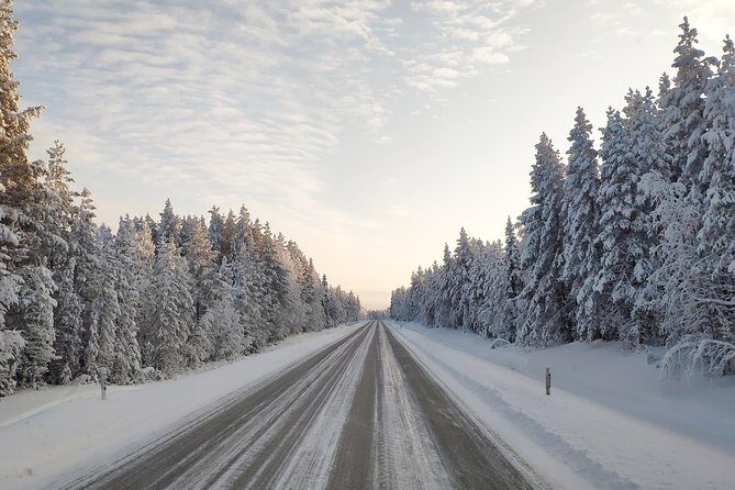 Best Of Lapland: Sauna, Ice swimming, Dinner & Northern Lights - Final Thoughts