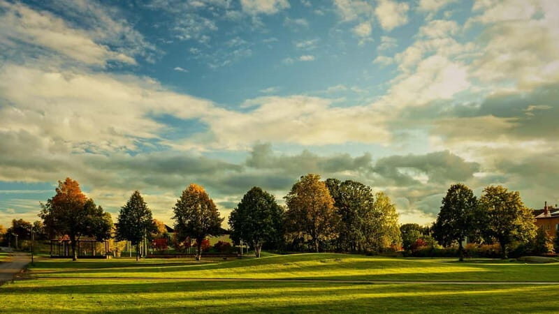 Best of Linköping: Private Walking Tour with a Local - The Sum Up