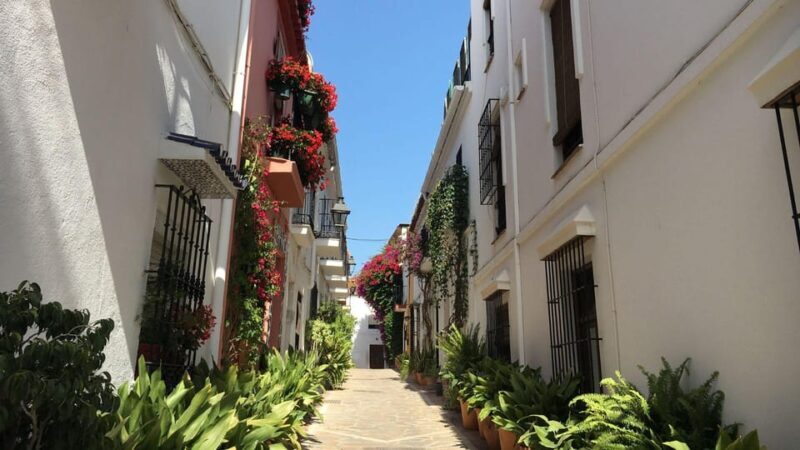 Best of Málaga: Private Walking Tour with a Local - Pricing & Value
