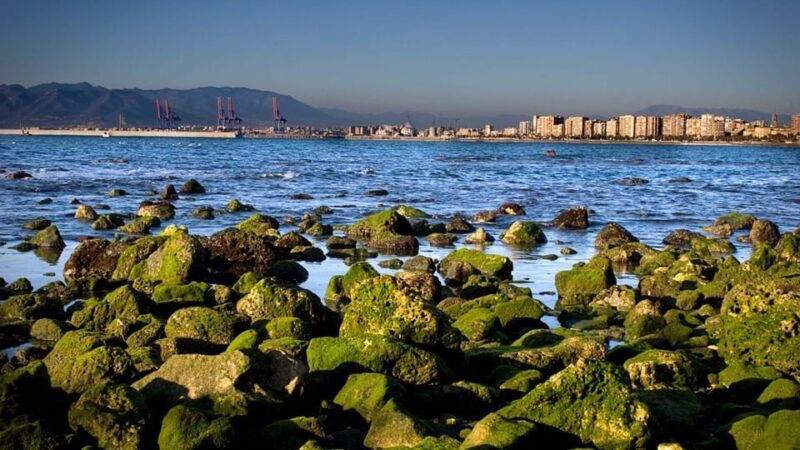 Best of Málaga: Private Walking Tour with a Local - The Sum Up