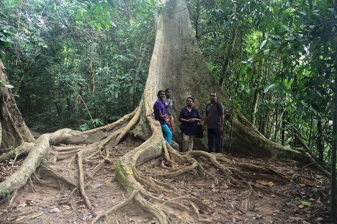 Best of Malaysia 10 Days - Why This Tour Offers Great Value