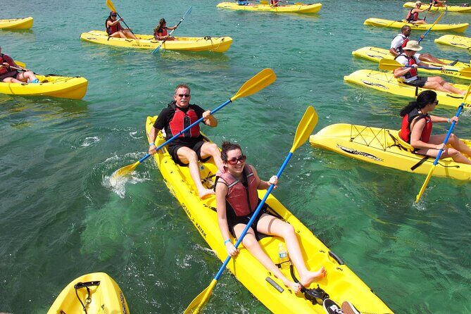Best of Mangrove Lagoon Kayak, Hike and Snorkel Adventure with Picnic Lunch - Overall Value and Who Should Consider It